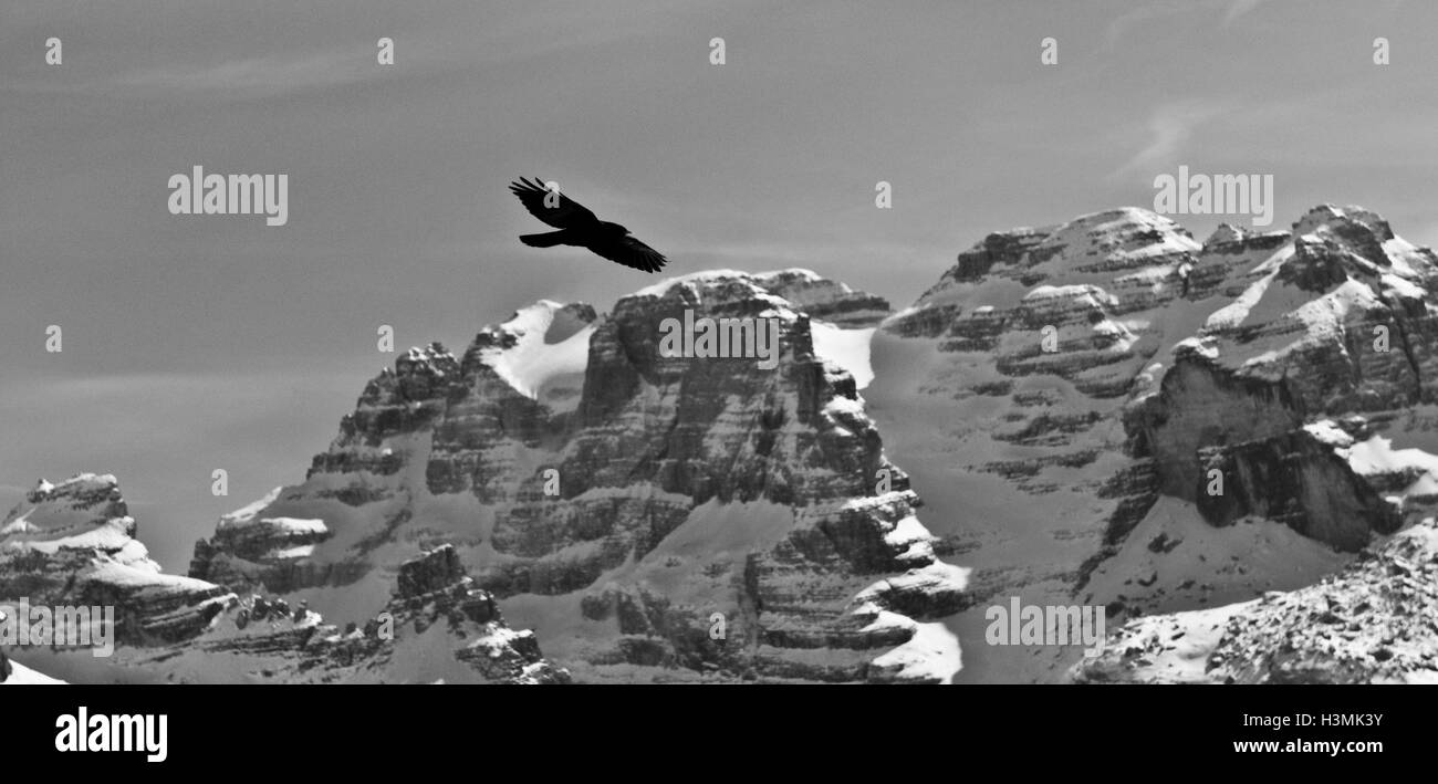 Hawk mountain hi-res stock photography and images - Alamy