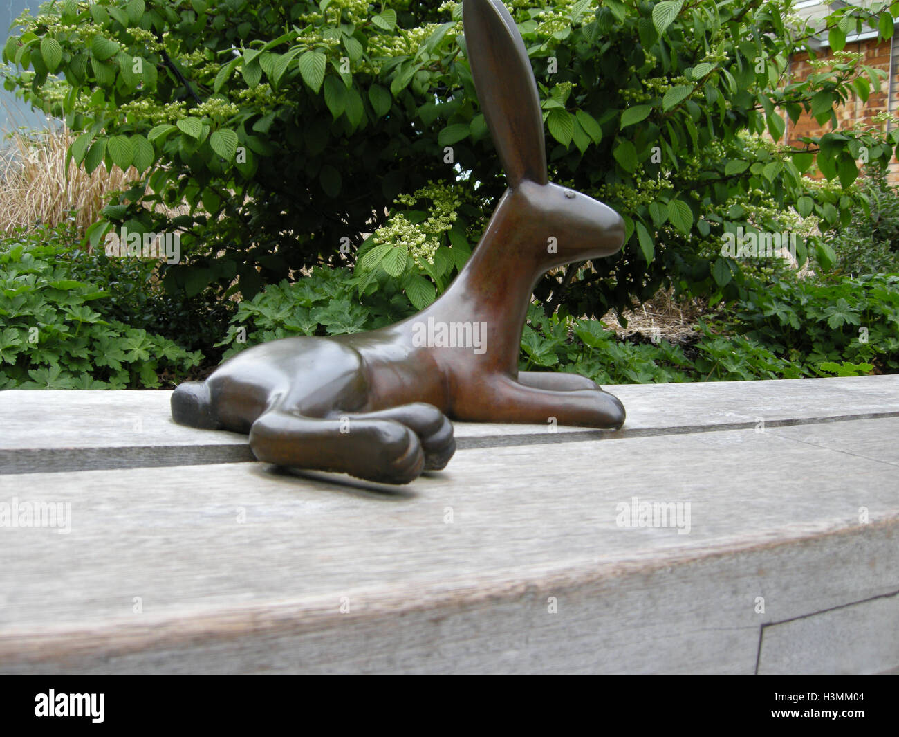 Bronze rabbit hi-res stock photography and images - Alamy