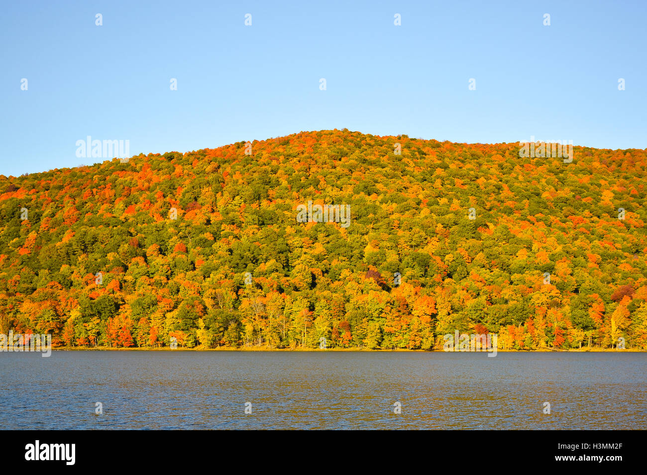 View of colorful forest trees and lake in the autumn season, Quebec ...