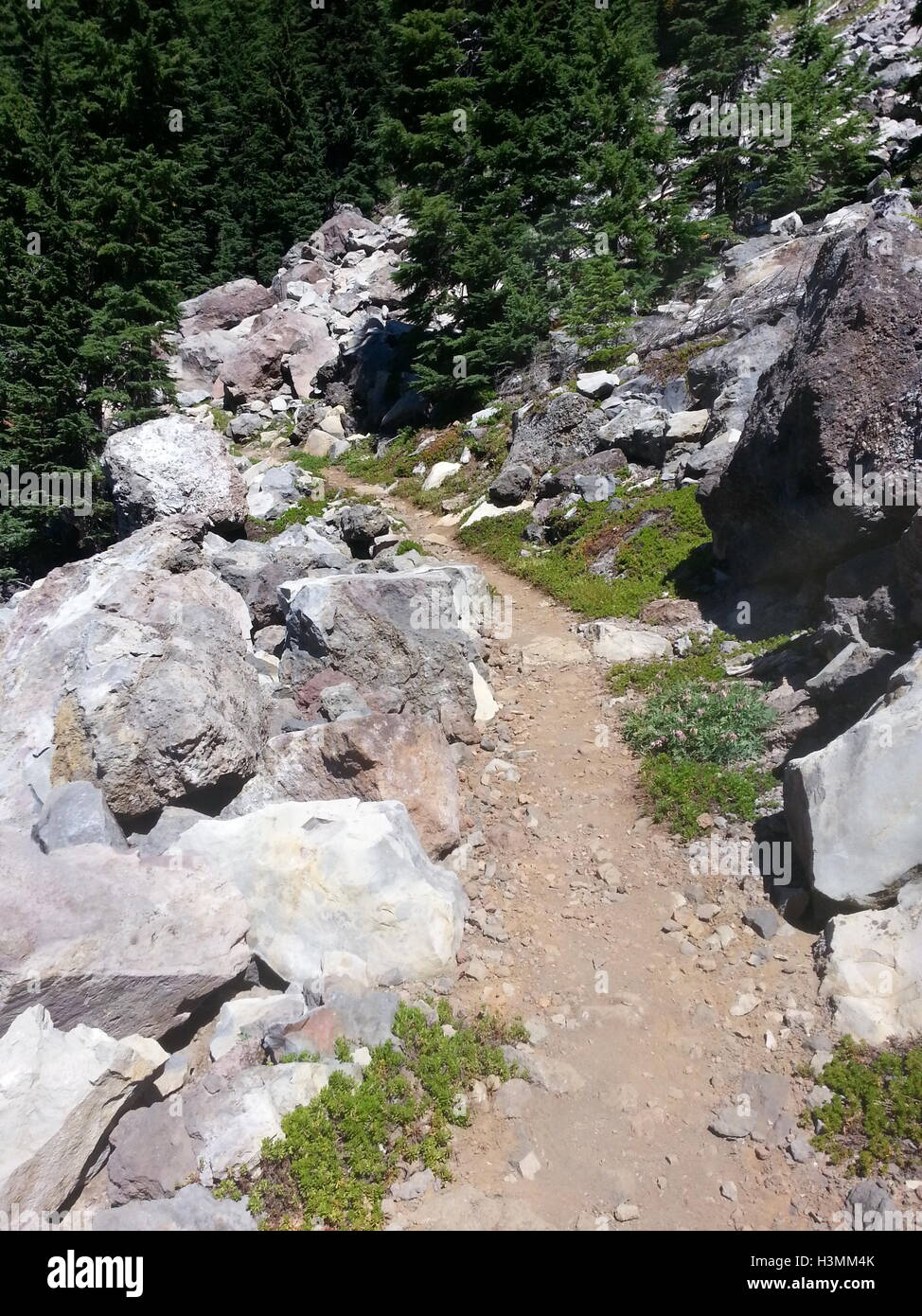 the Oregon PCT Stock Photo - Alamy