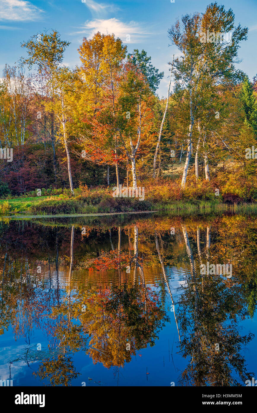 Pearl lake hi-res stock photography and images - Alamy