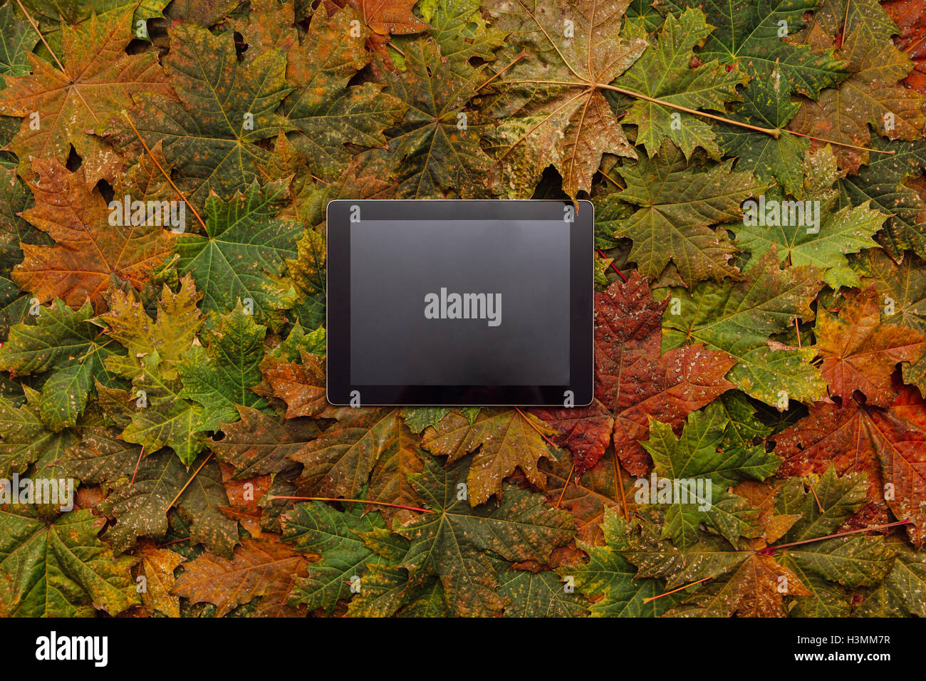 Close shot tablet green screen hi-res stock photography and images - Alamy
