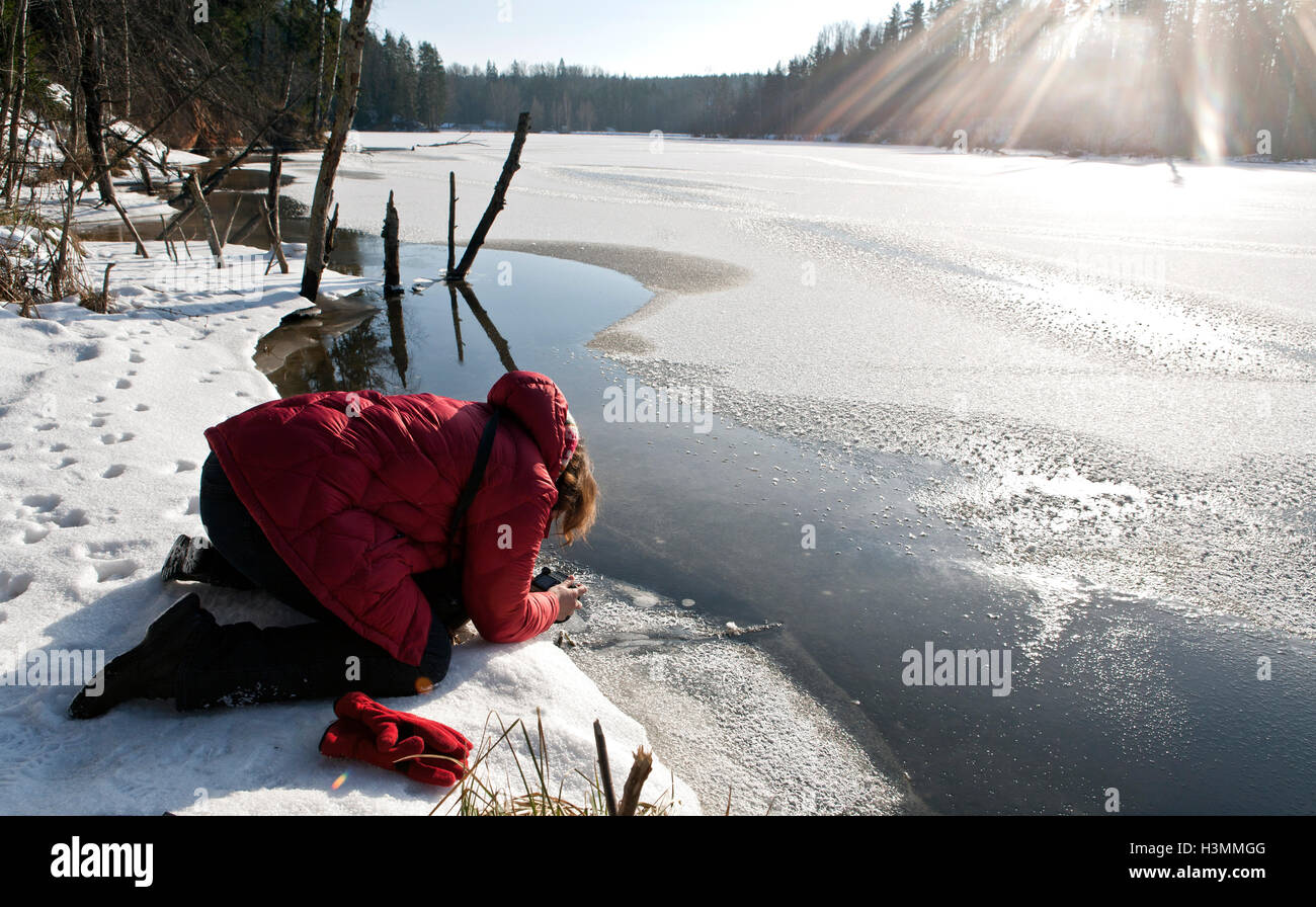 Woman photographing ice in frozen Brasla river in Gauja National Park ...