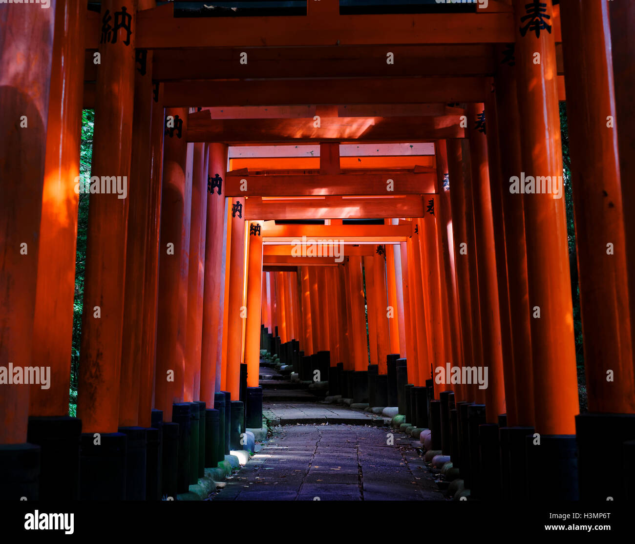 Japan Kyoto Fushima-Inari torii Stock Photo - Alamy