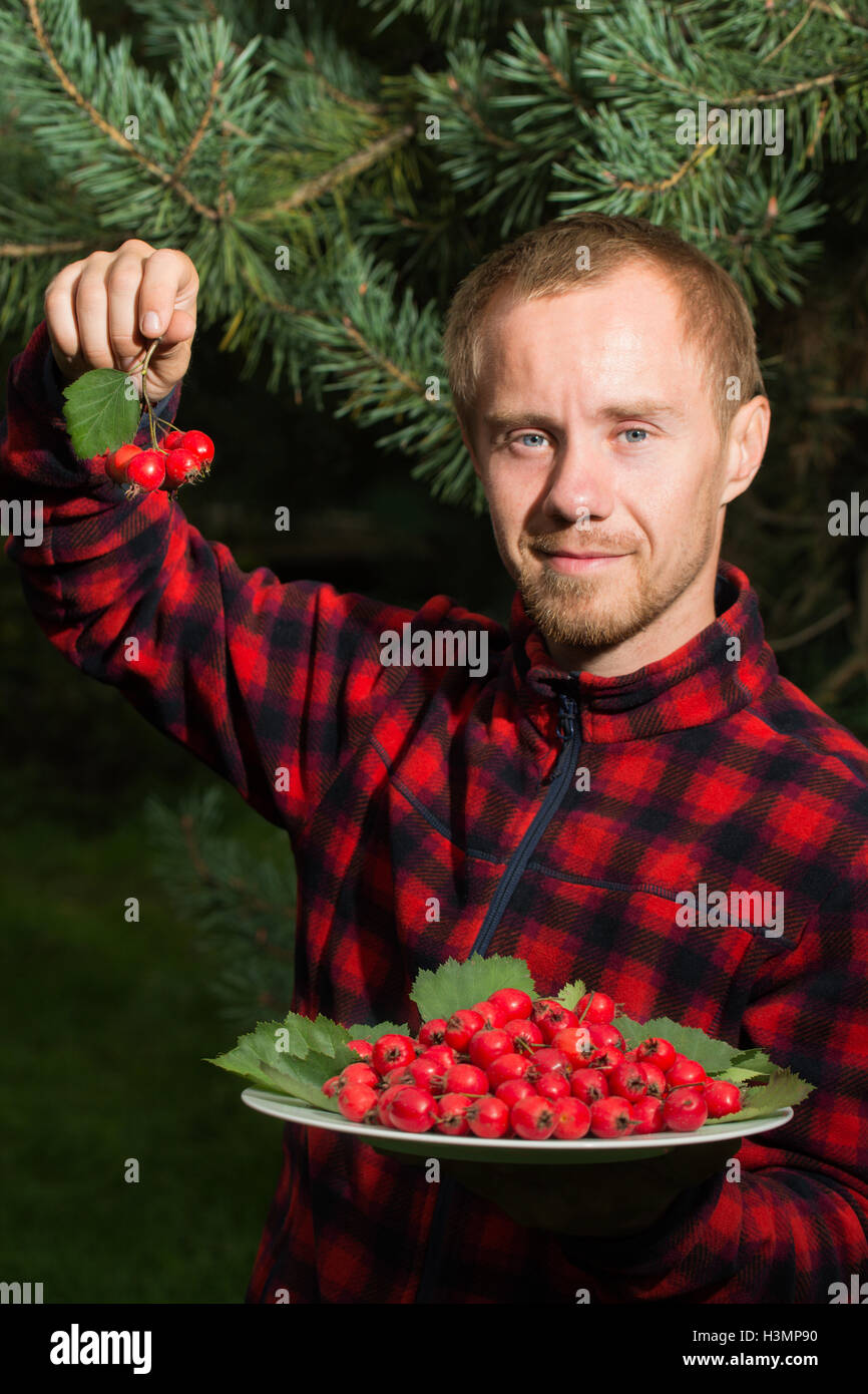 Hawthorn tree fruit hi-res stock photography and images - Alamy