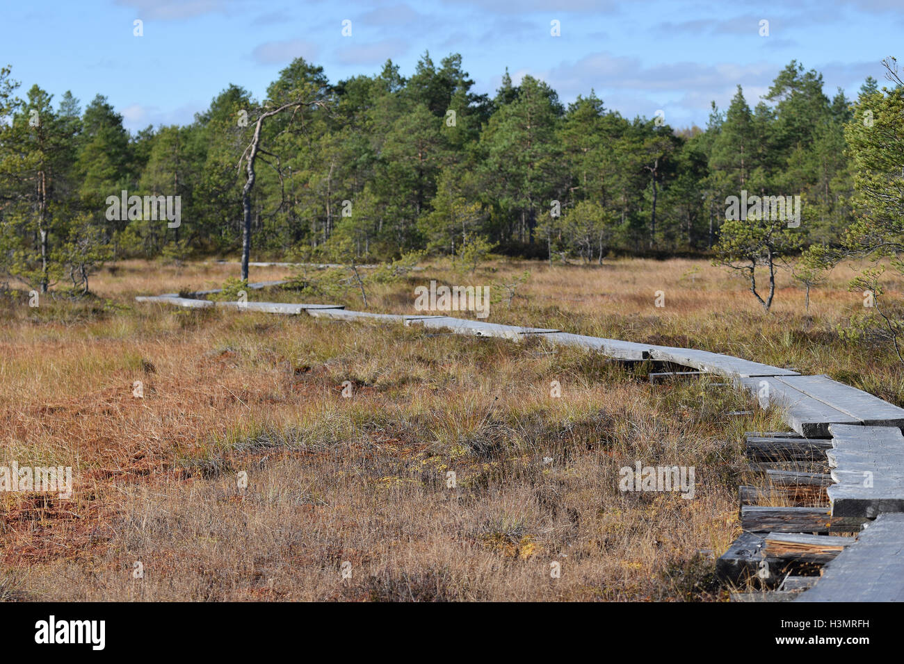 Bog trail hi-res stock photography and images - Alamy