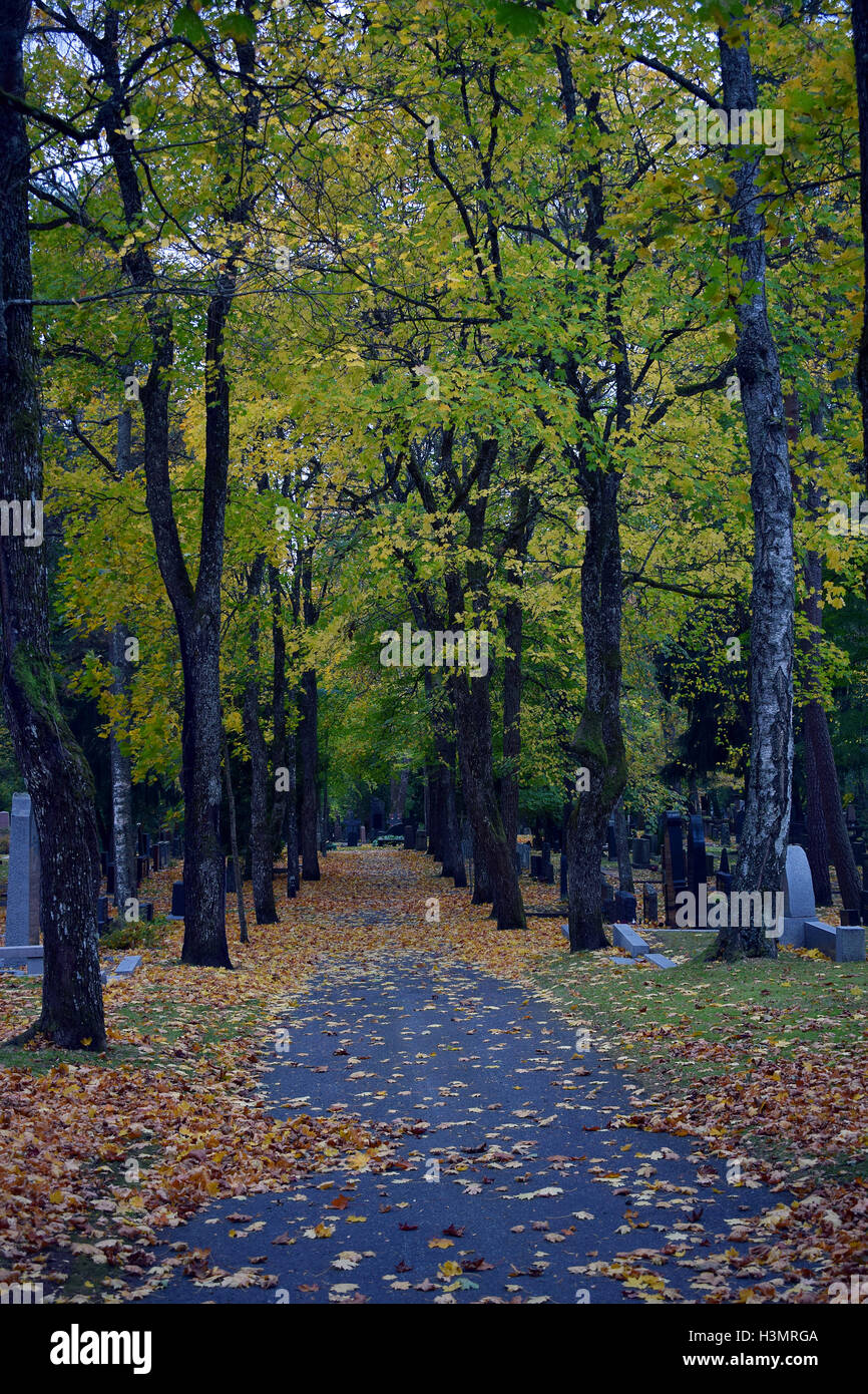 Walkway on cemetery. Leaves on a ground Stock Photo - Alamy