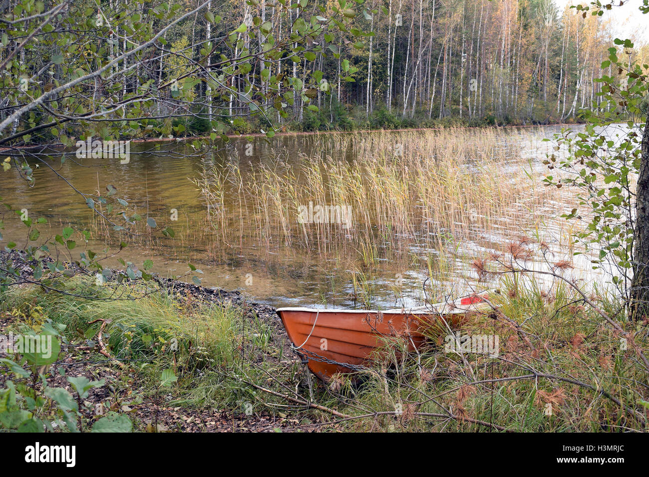 Red rowing boat hi-res stock photography and images - Alamy