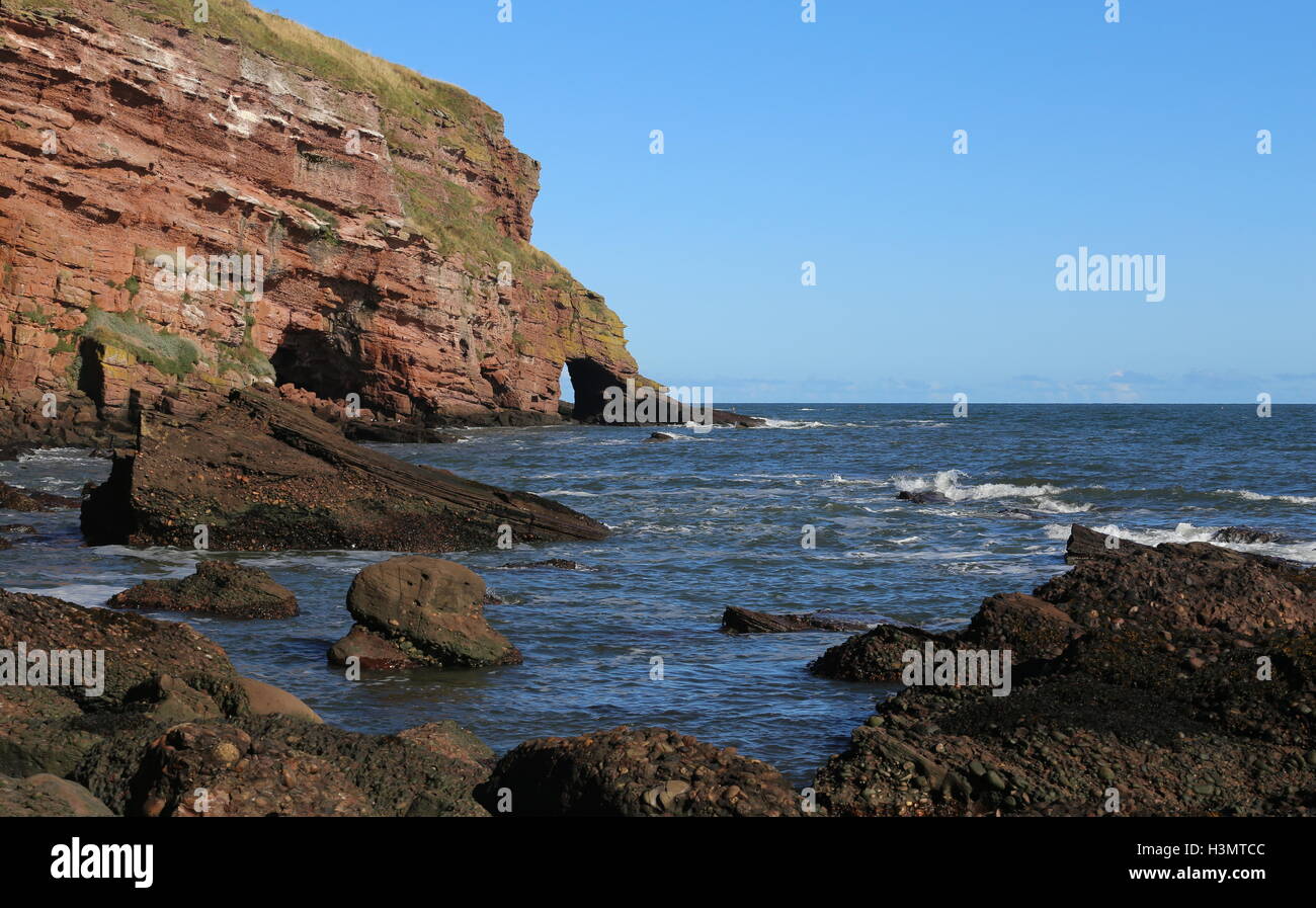 Rock arch in Maw Skelly headland Angus Scotland October 2016 Stock ...