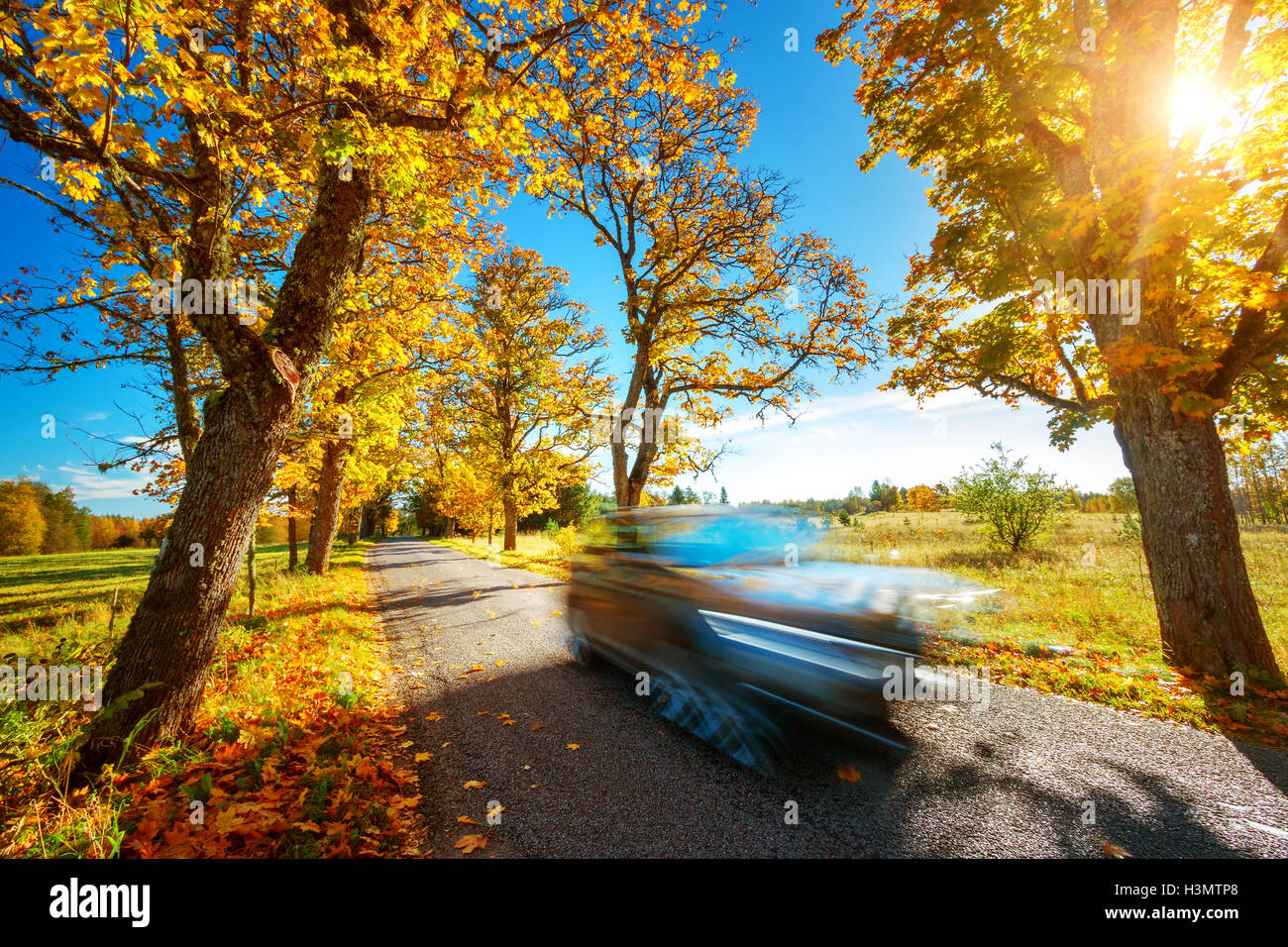 Car on asphalt road in autumn Stock Photo - Alamy