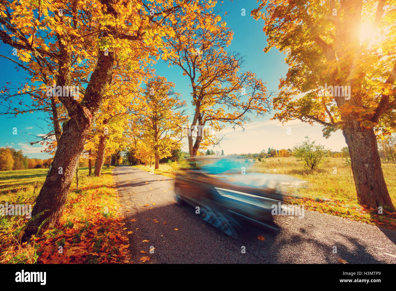 Car on asphalt road in autumn Stock Photo - Alamy