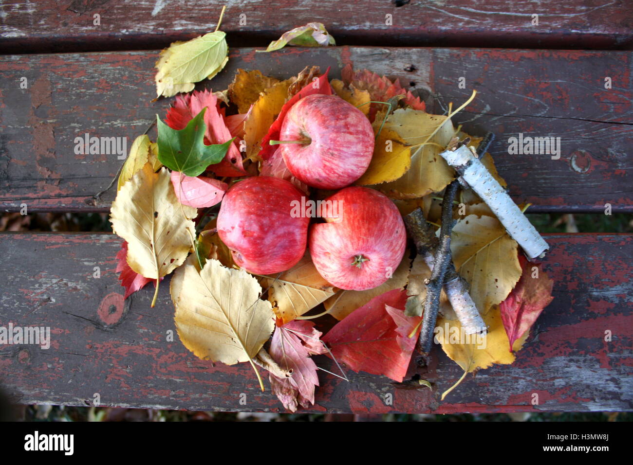 An assortment of various fall symbols Stock Photo - Alamy