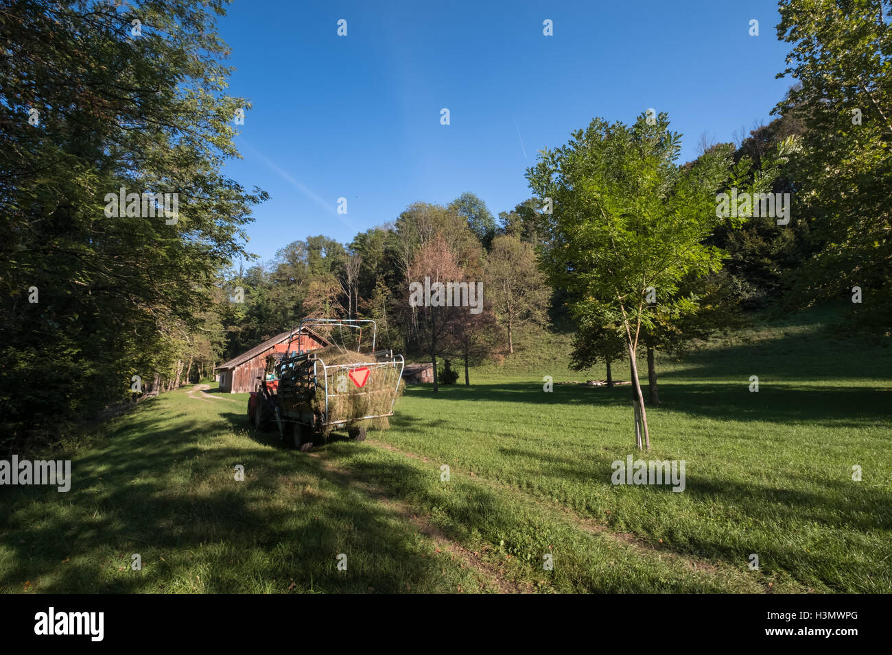 Small tractor hi-res stock photography and images - Alamy