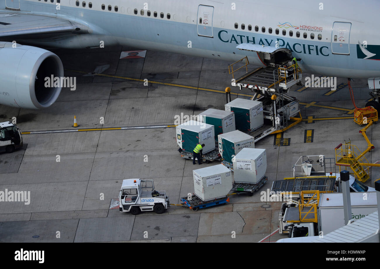 Ground staff work on the runway at London's Heathrow Airport Stock ...
