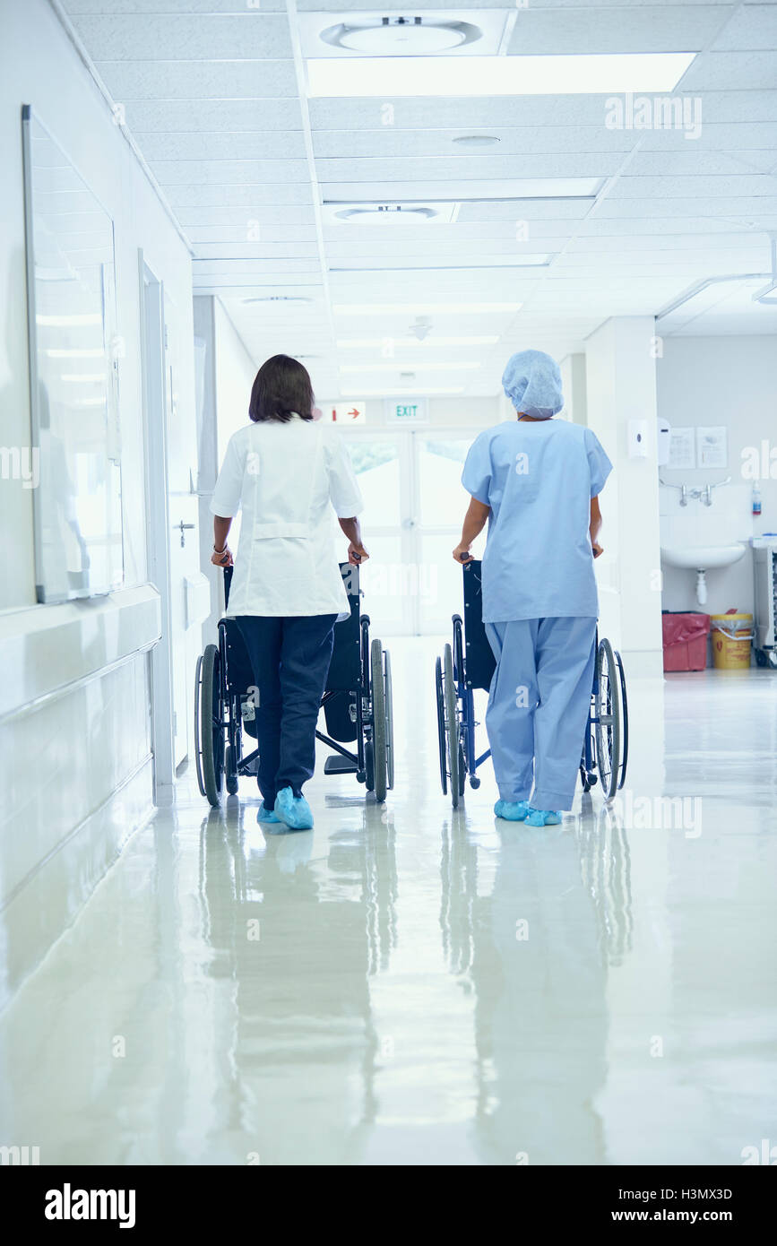 Rear view of female orderlies pushing wheelchairs along hospital ...
