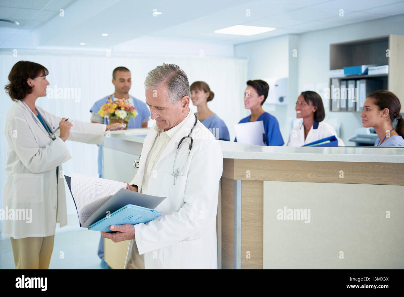 Senior doctor reading medical notes at hospital nurses station Stock ...