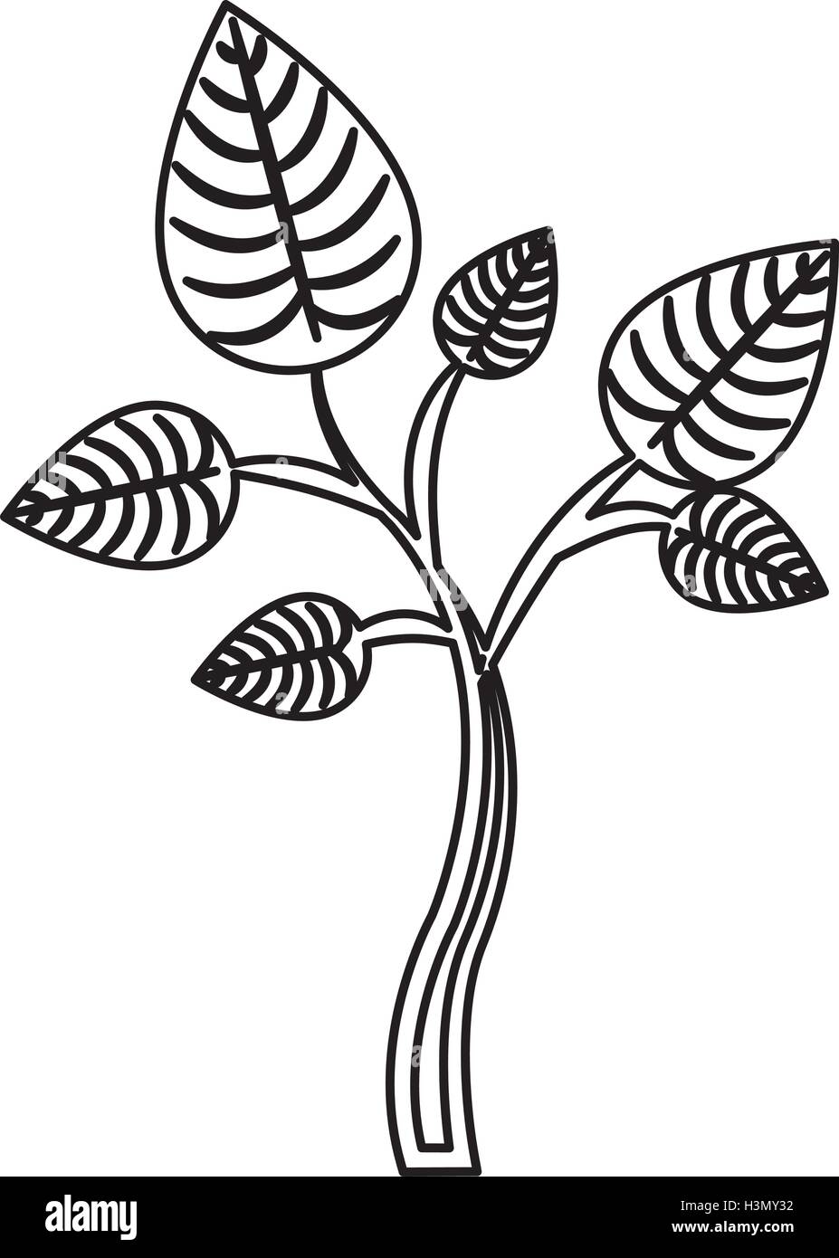 Isolated and silhouette plant design Stock Vector Image & Art - Alamy