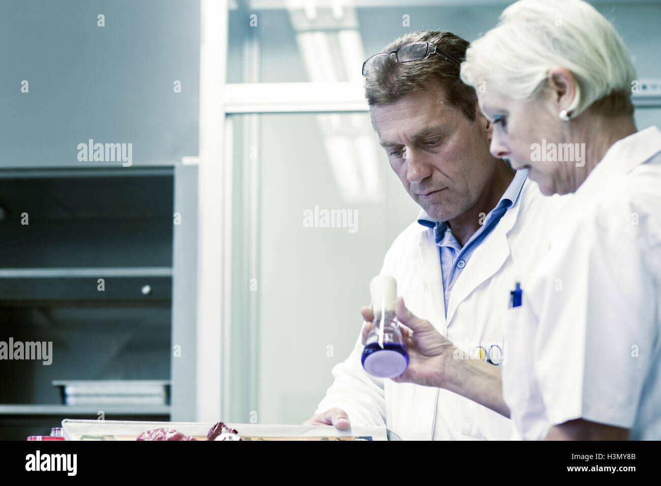 Scientists working in laboratory Stock Photo - Alamy