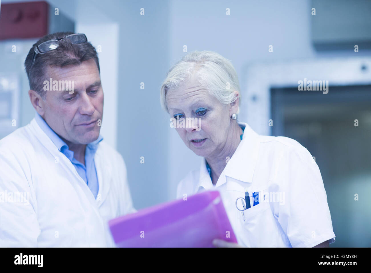 Reading teamwork results hi-res stock photography and images - Alamy