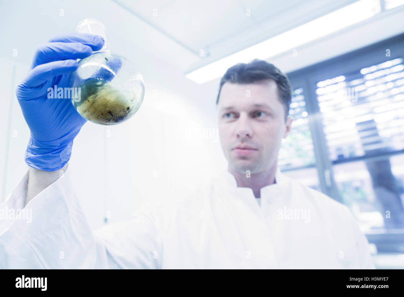 Scientist examining sample in beaker Stock Photo - Alamy