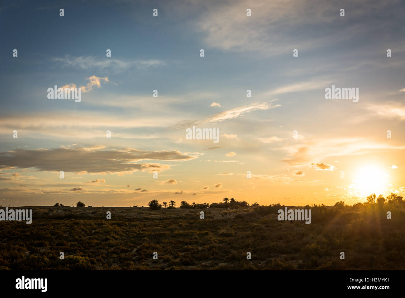 The sun goes down on a marsh with a cloudy sky, creating some ...