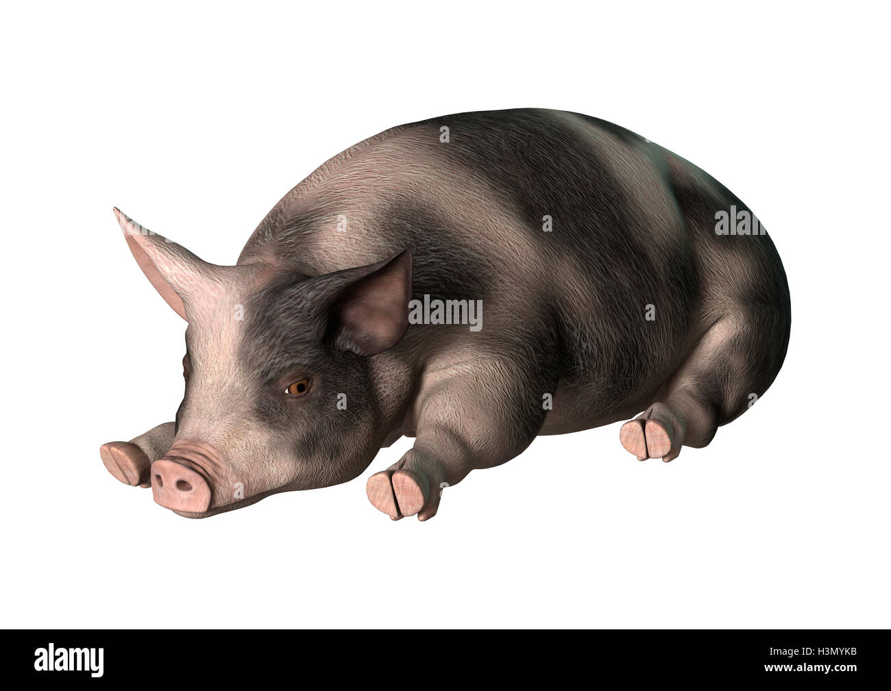 3D rendering of a pig isolated on white background Stock Photo - Alamy