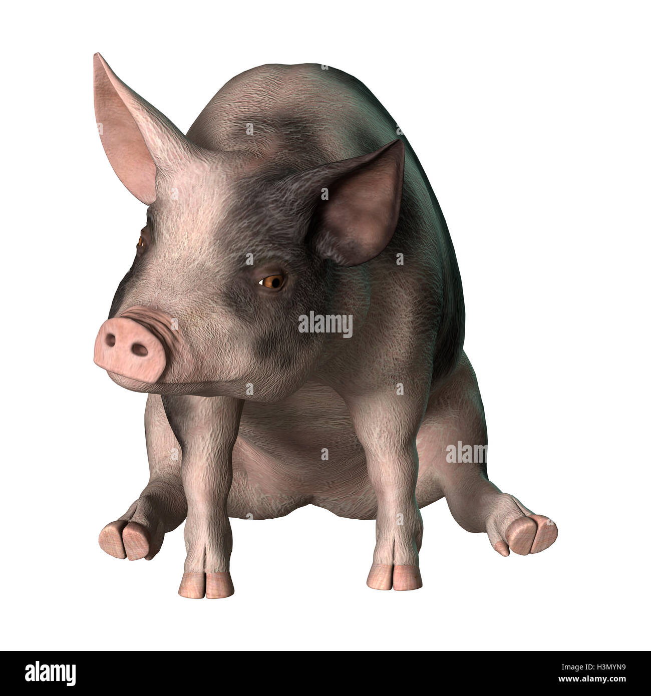 3D rendering of a pig isolated on white background Stock Photo - Alamy