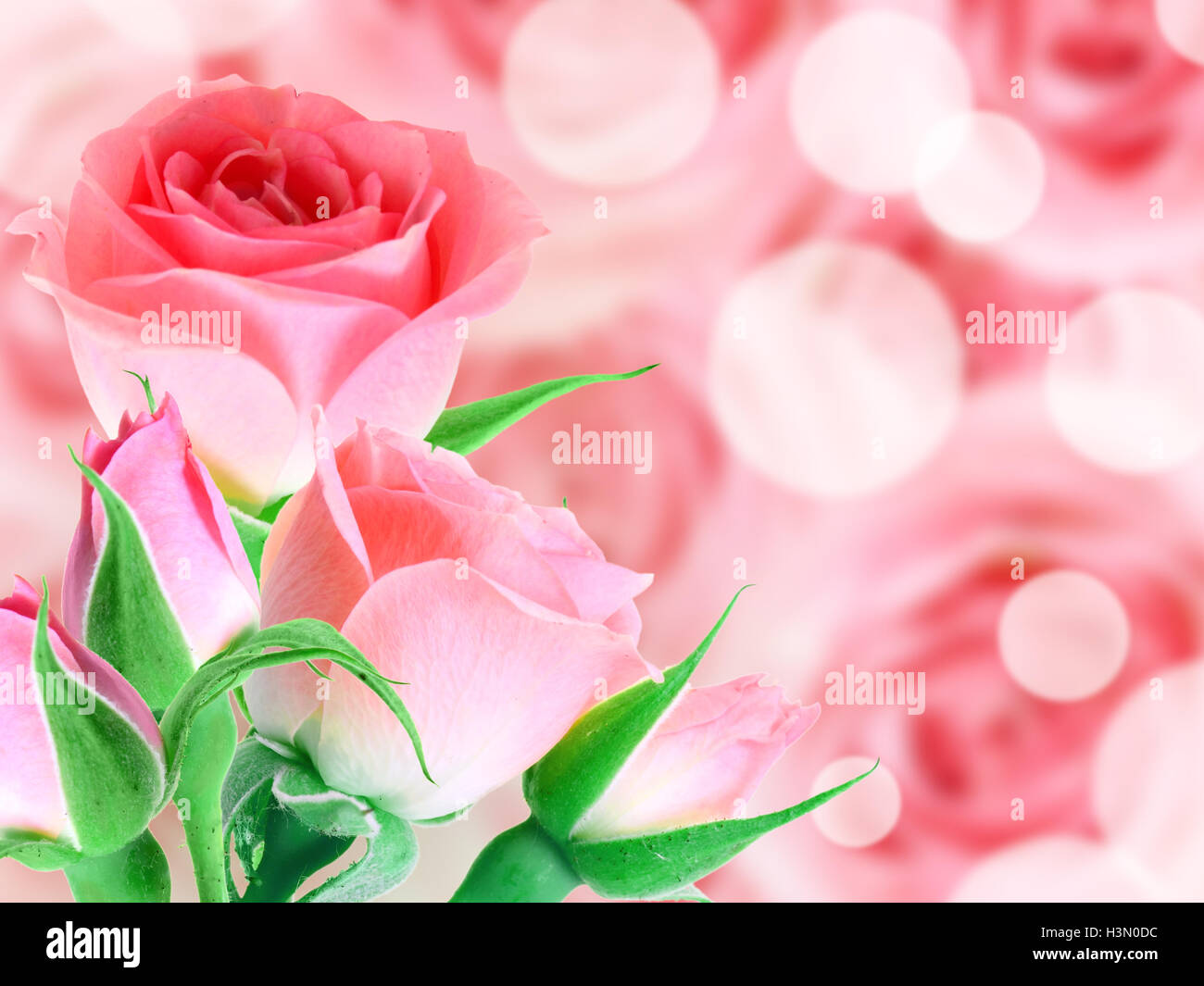 Bouquet pink roses Stock Photo - Alamy