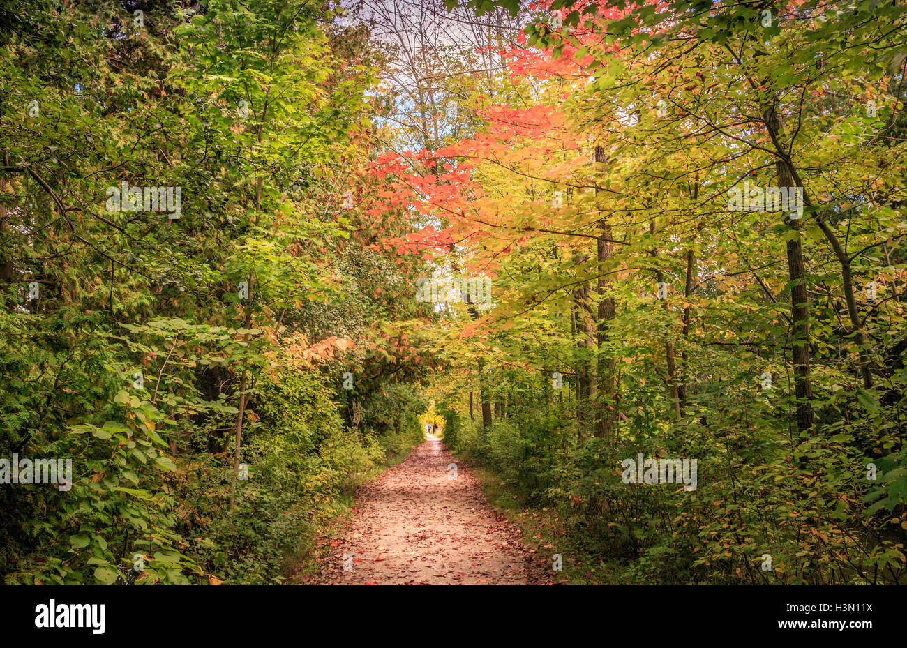 Walking trail through rural area in early fall, Ontario Canada Stock ...