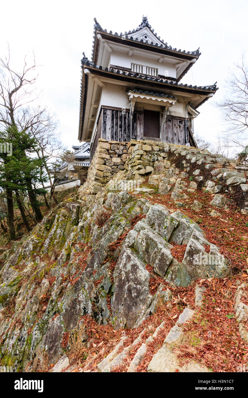 Japanese Mountain Castle
