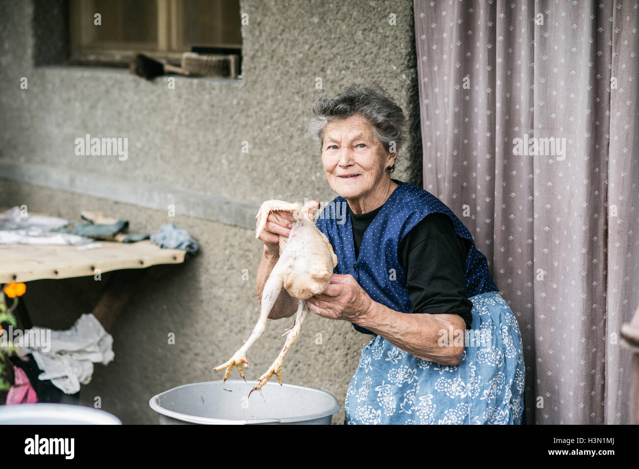 Woman slaughtering chicken hi-res stock photography and images - Alamy