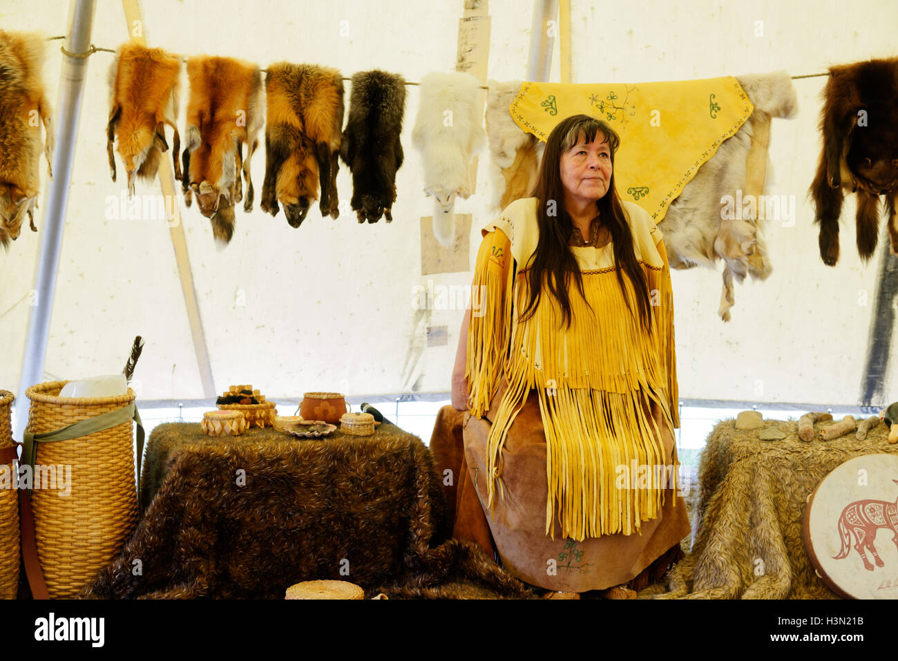 Mi'kmaq wigwam High Resolution Stock Photography and Images - Alamy