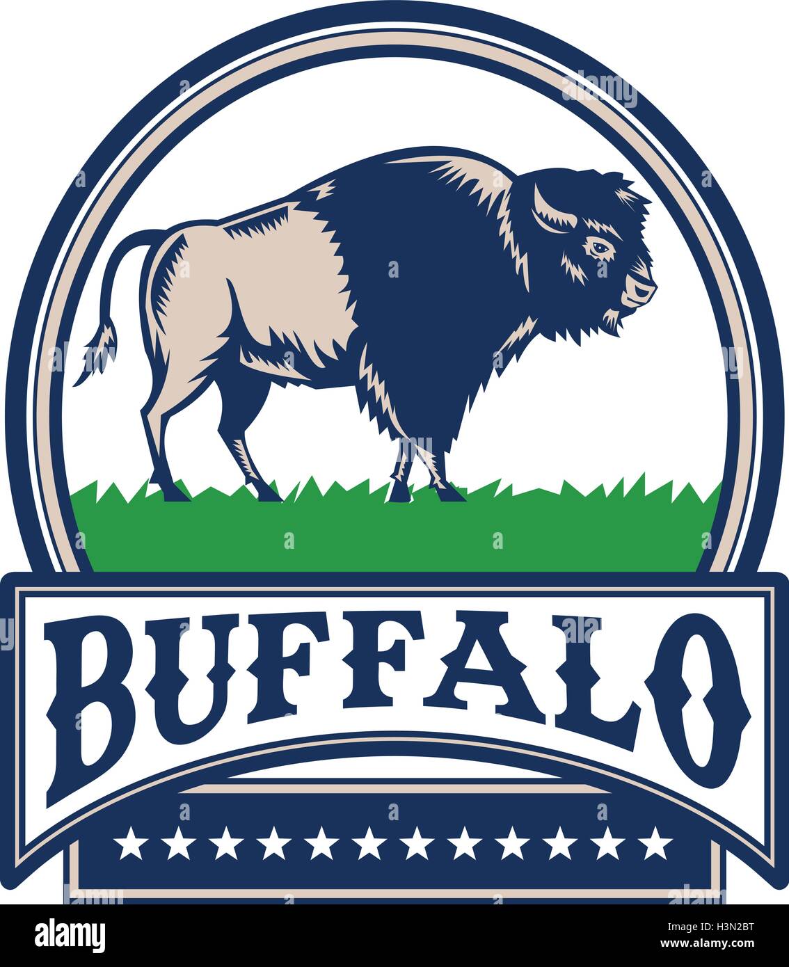 Illustration of an american bison buffalo bull viewed from the side set ...