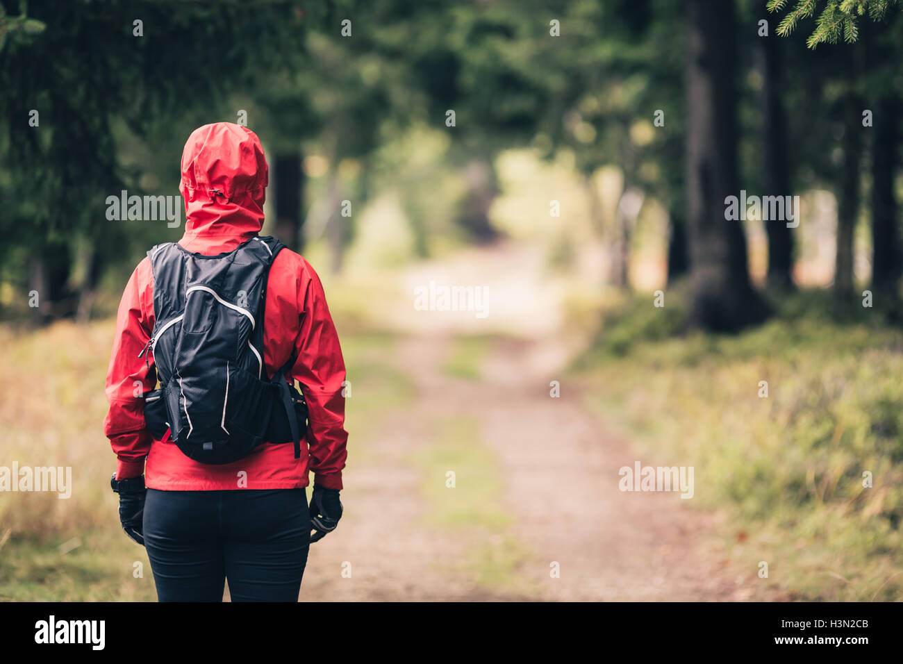 Woman hiking on trail with backpack in autumn woods. Recreation and ...