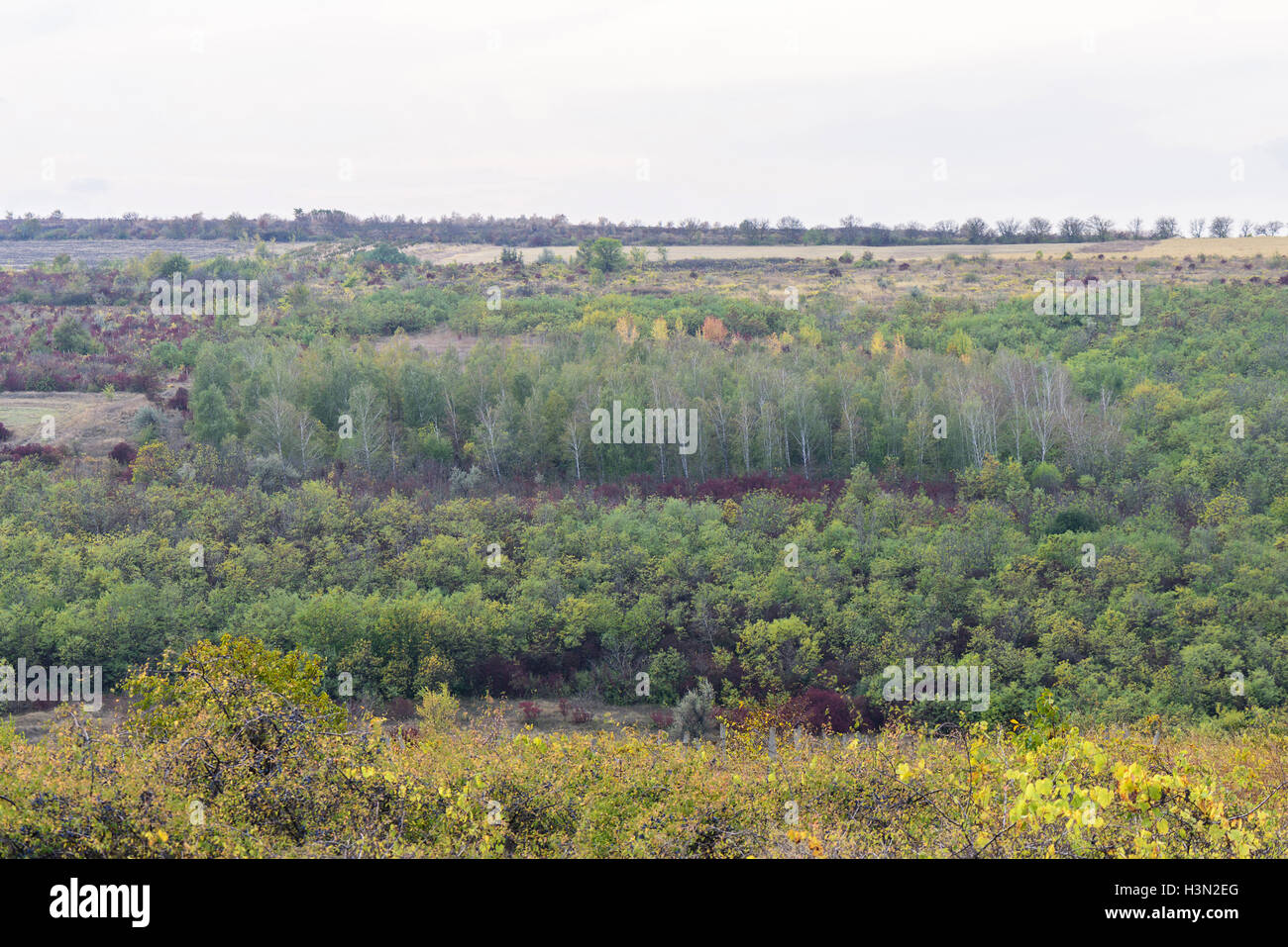 Colored forest and hills in autumn in Moldova Stock Photo - Alamy