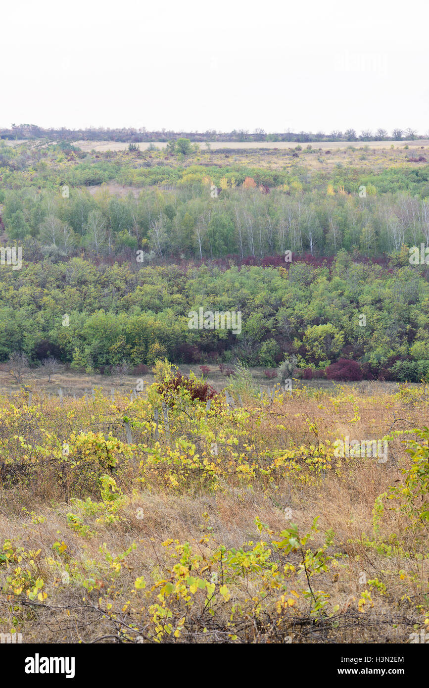Colored forest and hills in autumn in Moldova Stock Photo - Alamy