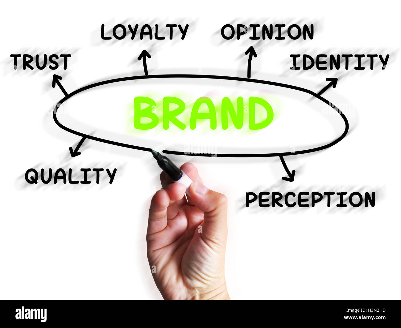Brand Diagram Displays Company Identity And Loyalty Stock Photo - Alamy