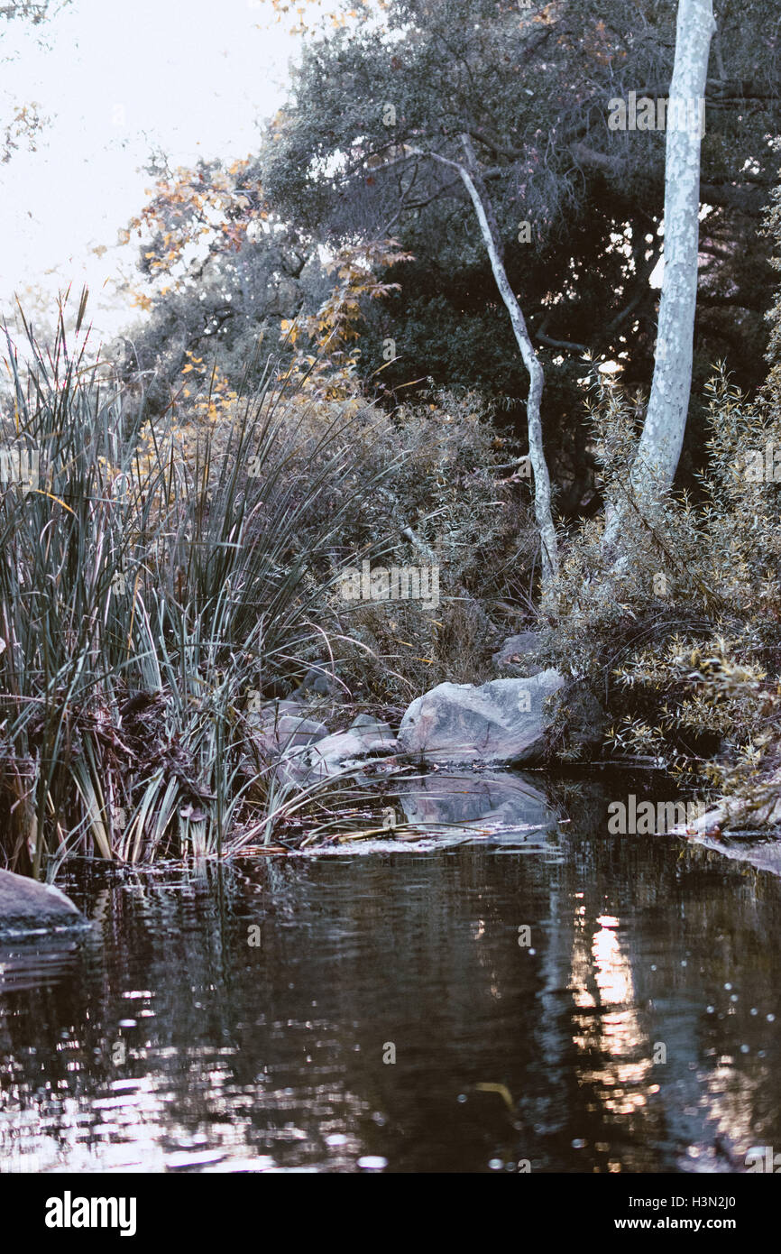 Ripple creek hi-res stock photography and images - Alamy