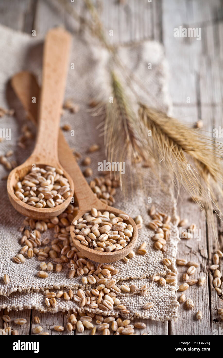 wheat grain in wooden spoons and ears Stock Photo - Alamy