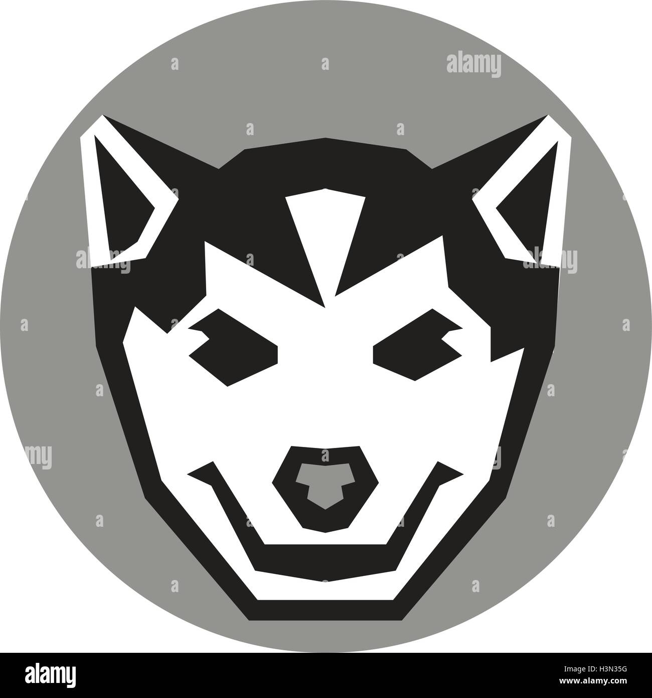 Wolf front view hi-res stock photography and images - Alamy