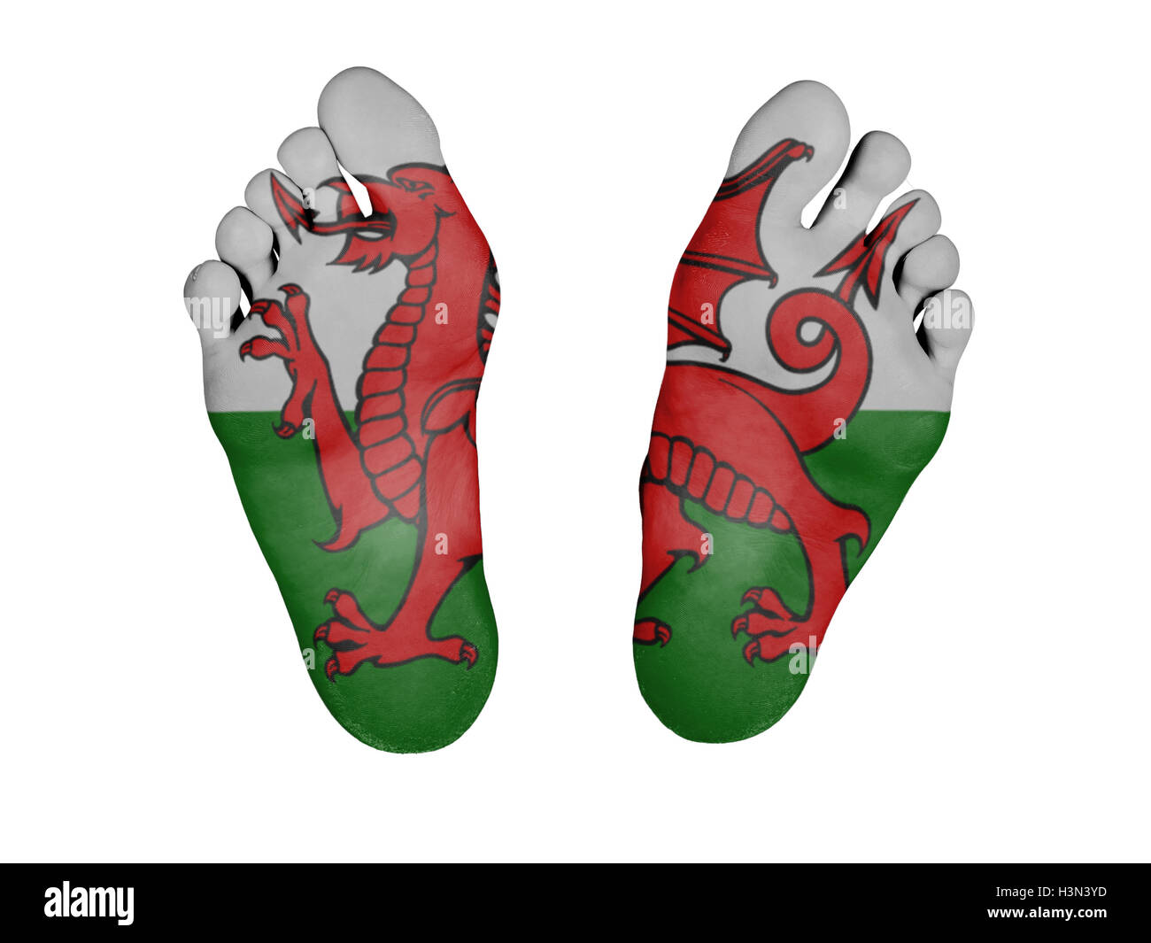 Morgue body parts hi-res stock photography and images - Alamy