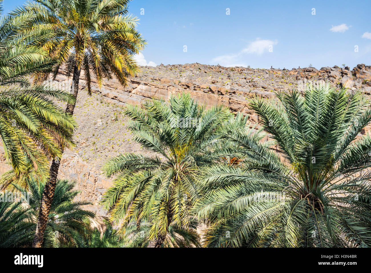 Palms of Misfah Abreyeen Stock Photo - Alamy