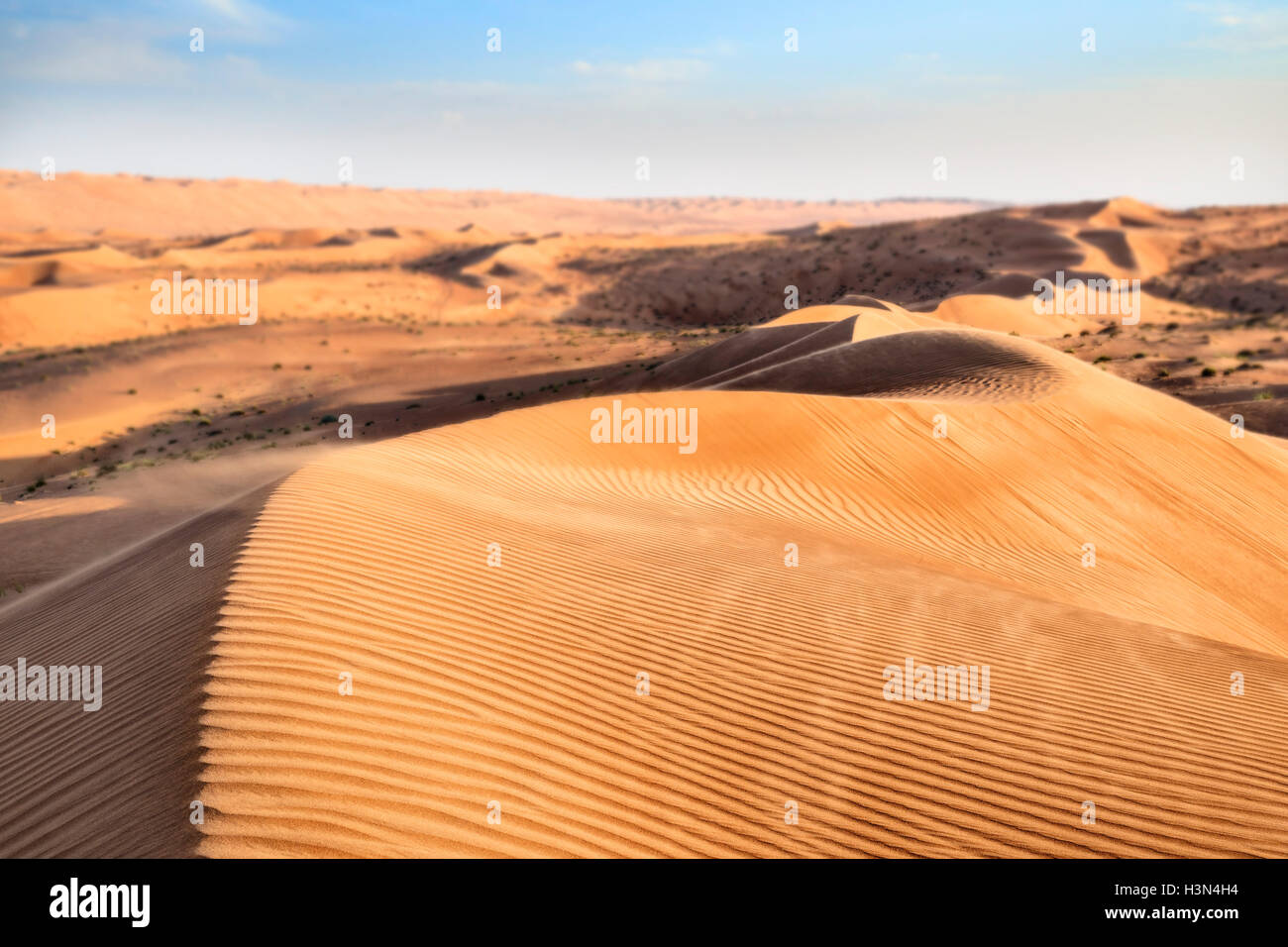 Desert Wahiba Oman Stock Photo - Alamy