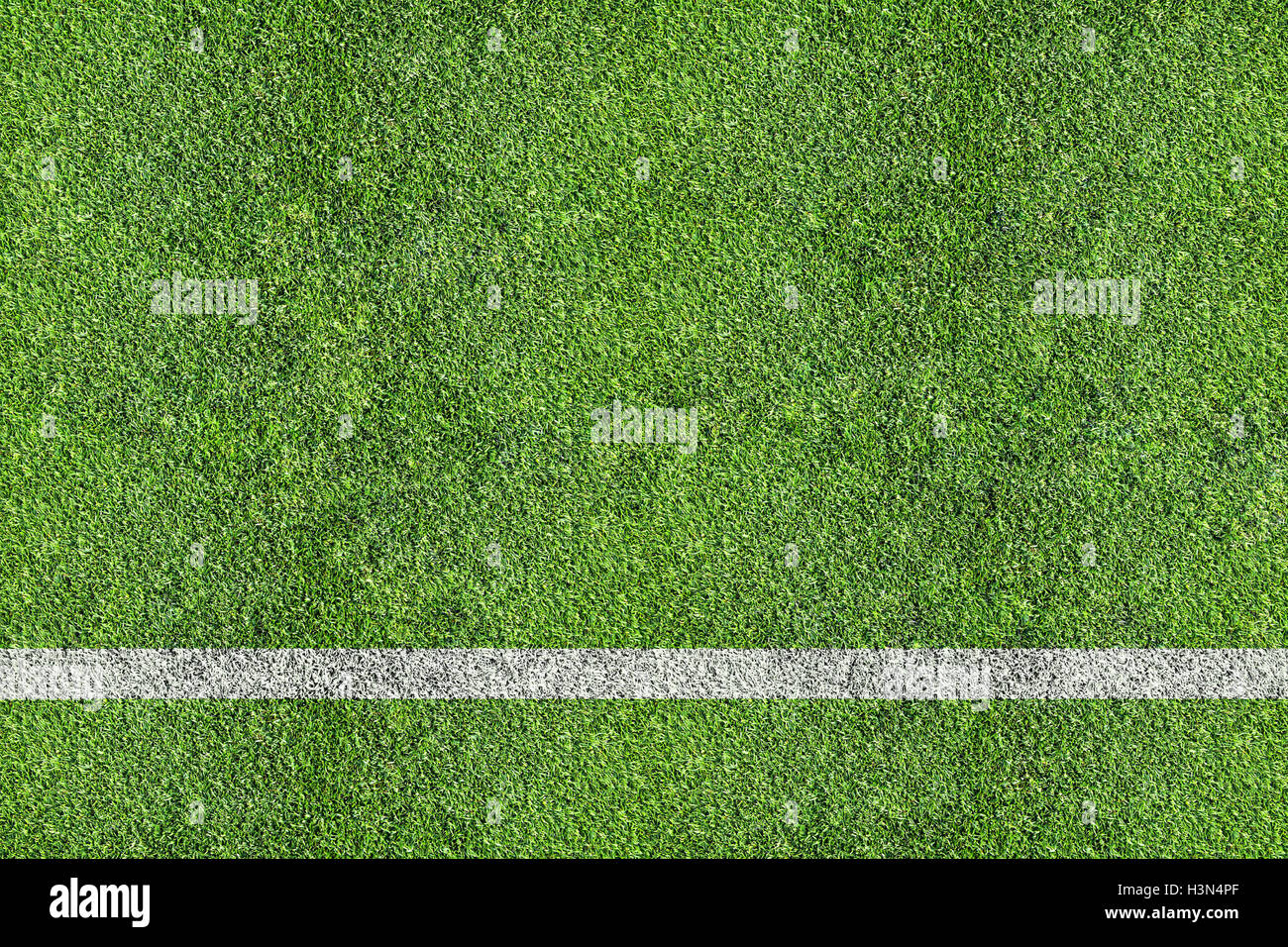 grass of sport field Stock Photo - Alamy