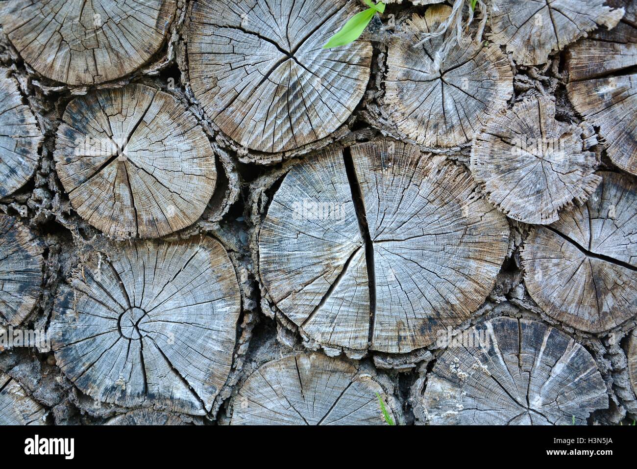 Wooden texture surface with abstract pattern as decorative background ...