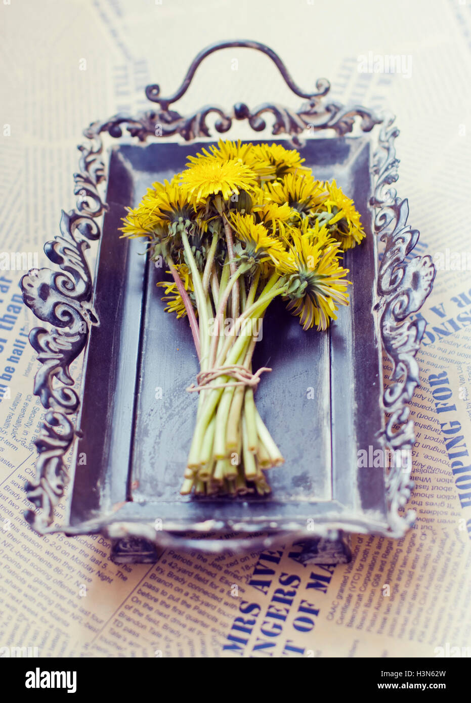 Dandelion on a tray with newspaper background Stock Photo - Alamy