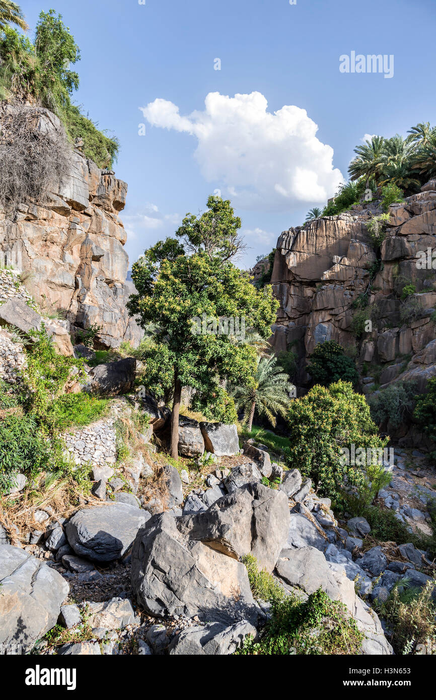 Landscape Misfah Abreyeen Stock Photo - Alamy