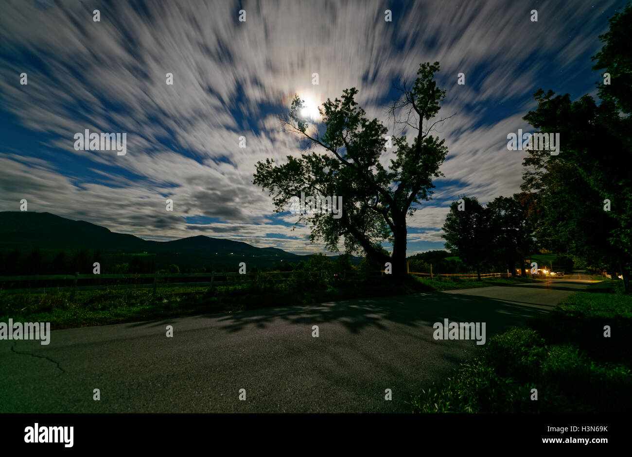 Moon tree silhouette hi-res stock photography and images - Alamy