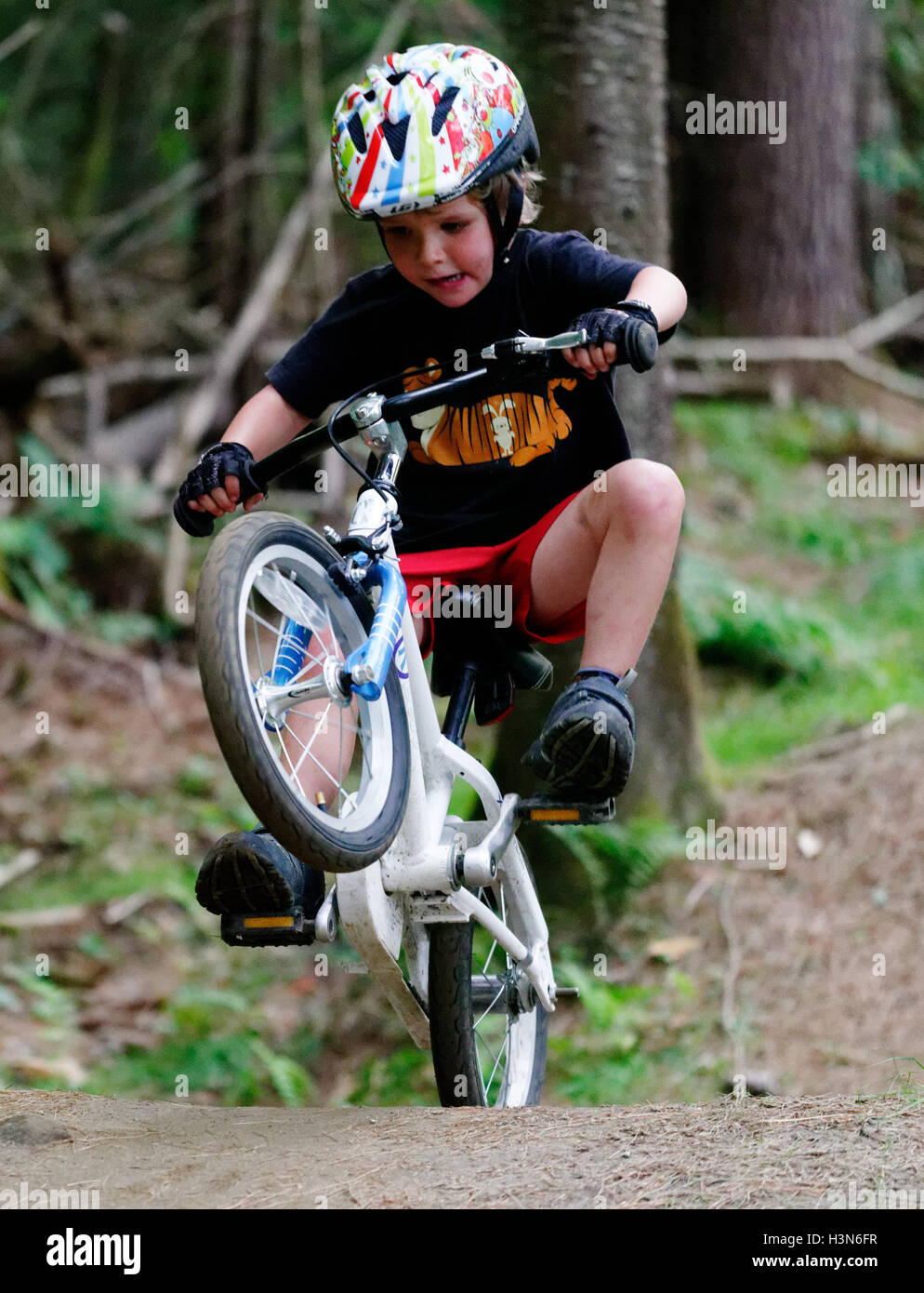 Popping a wheelie hi-res stock photography and images - Alamy