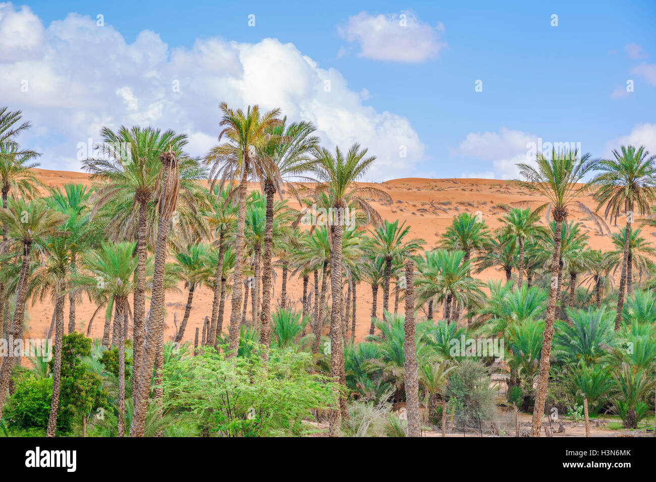 Oasis Al Haway Oman Stock Photo - Alamy